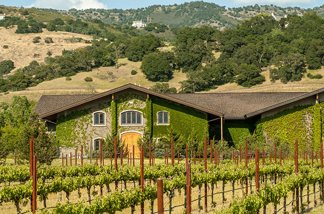 The Judgement of Paris Napa wine tour - Decanter