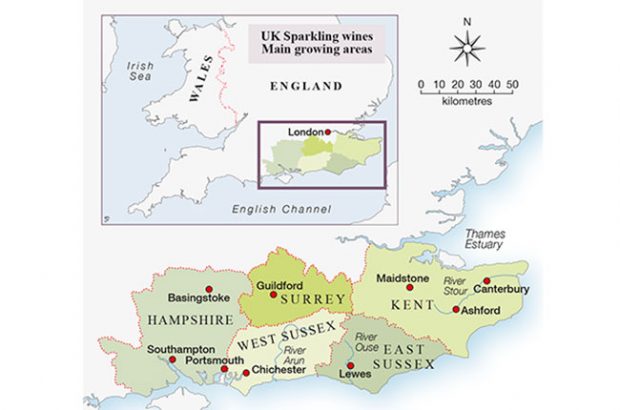 Best English still wines to try