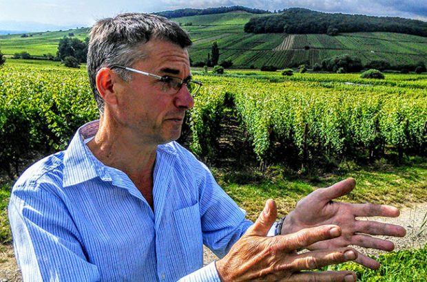 Jefford on Monday: Building a region - Decanter