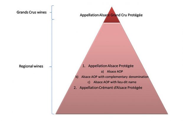 Alsace Premiers Crus: What you need to know - Decanter