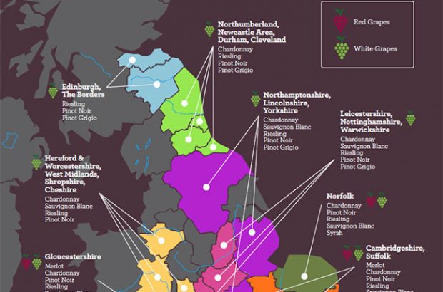 How Britain could be a major wine producer by 2100 - Study - Decanter