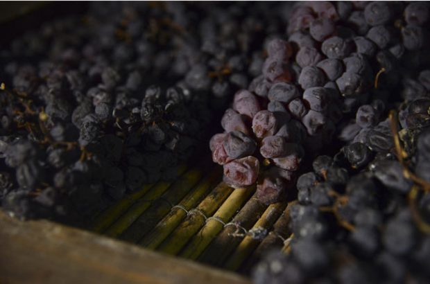 Introducing appassimento wines from Veneto - Decanter