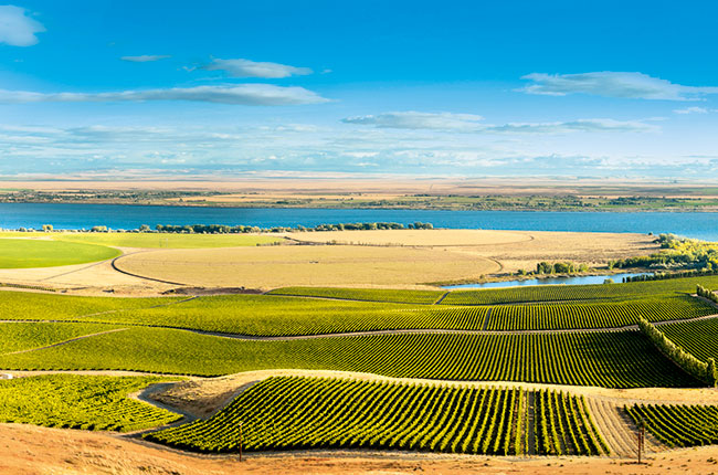 Travel: Washington State wineries to visit - Decanter