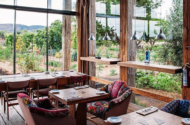 Top Baja California bars and restaurants - Decanter