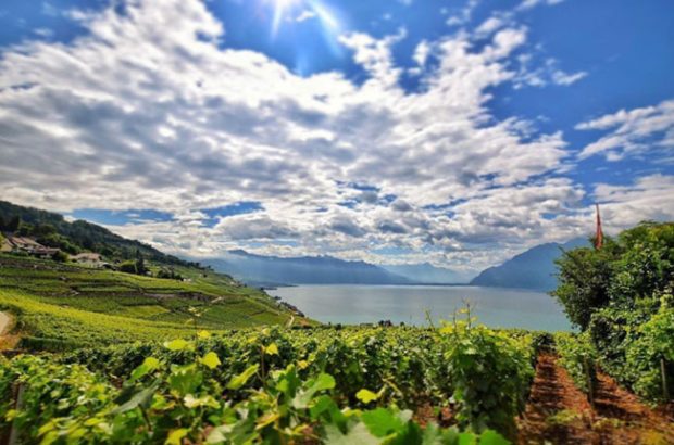 Everything to know about Lake Geneva wine - Decanter