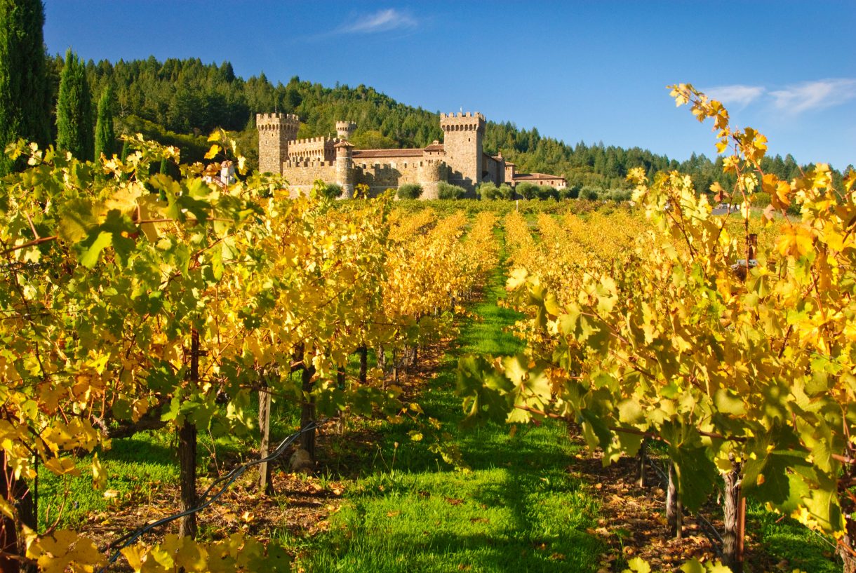Best October holidays 2017: 8 of the top wine tasting destinations