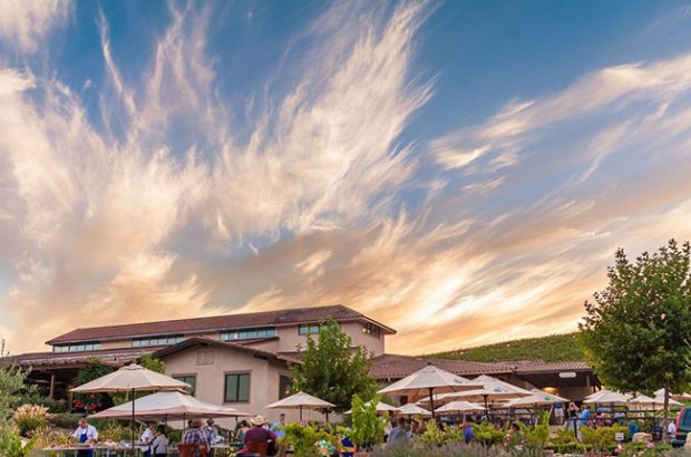 California driving: Top 10 wineries to visit on your road trip - Decanter
