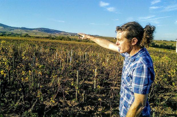 Beaujolais 2017: Talent under the cosh - Andrew Jefford - Decanter