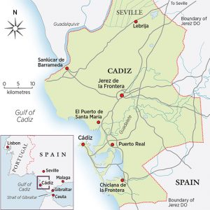 Complete guide to Sherry - Decanter