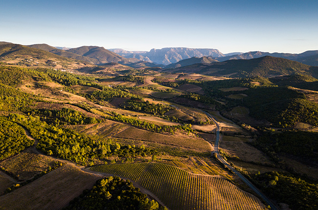 Top St Chinian wines with Andrew Jefford: 'Tasting the Virtuosi'