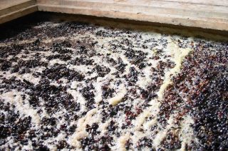 Open top fermentation - ask Decanter - Decanter