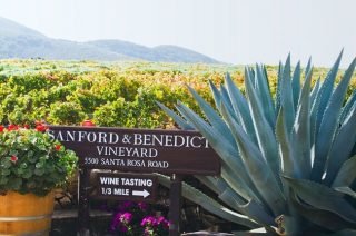 Top wines of Santa Barbara: New reviews - Decanter