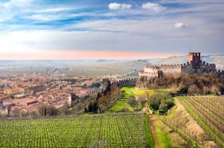 Best Veneto wines: Expert picks - Decanter