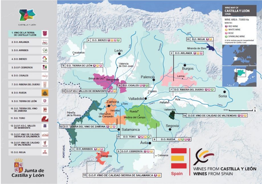 Castilla y Léon Wine Region