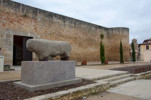 Discover Toro wines - Decanter