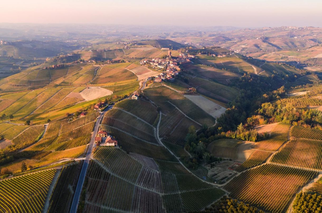Barolo wine region
