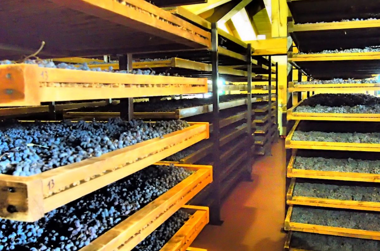 What is Amarone wine? - ask Decanter - Decanter