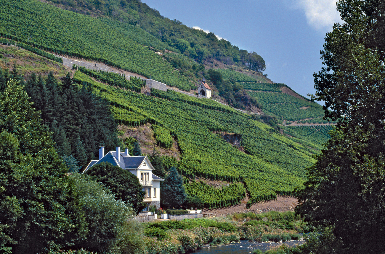 The Alsace region: The Great French Ride - Decanter