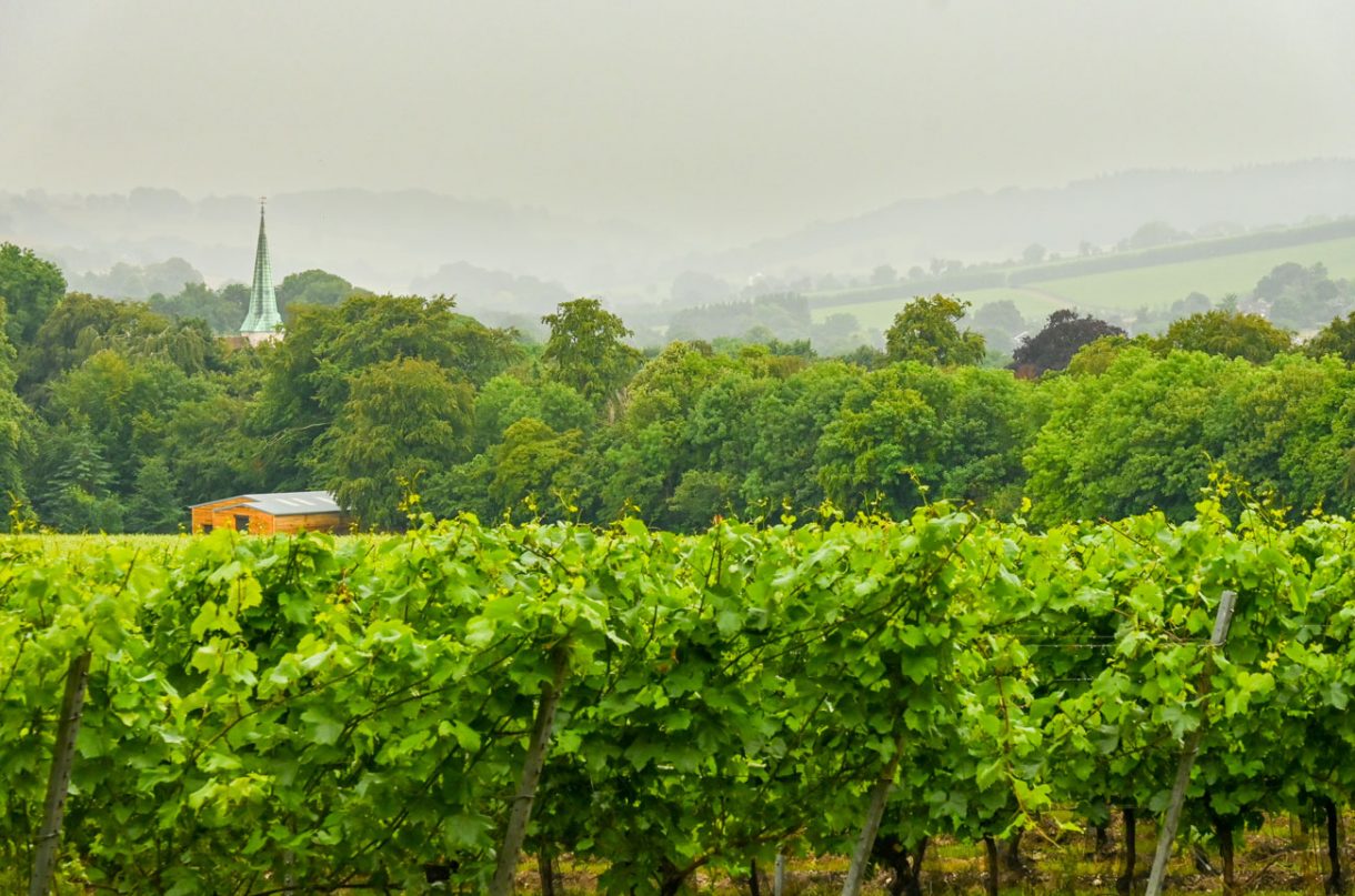 Kent wine tour: Top wineries to visit - Decanter