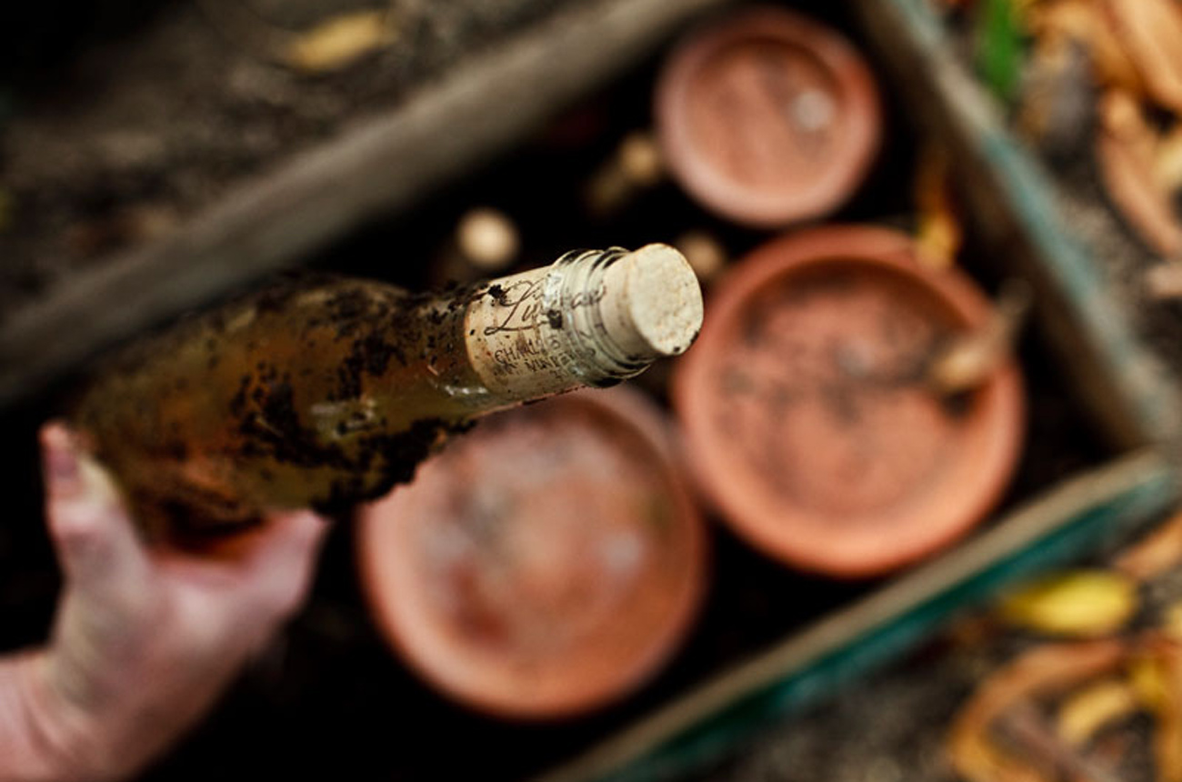 Littorai: Sustainability on California's north coast - Decanter