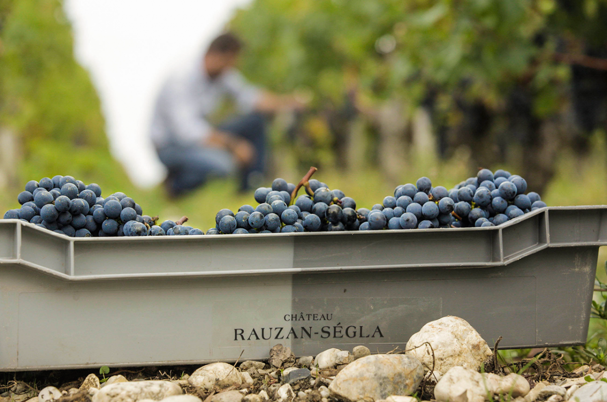 Best Château Rauzan-Ségla wines: 25 vintages reviewed - Decanter