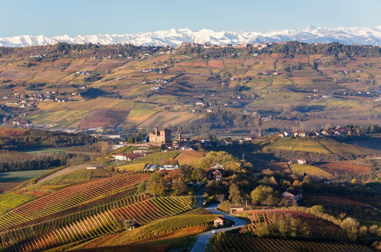 Damilano Raviole: Barolo's forgotten cru