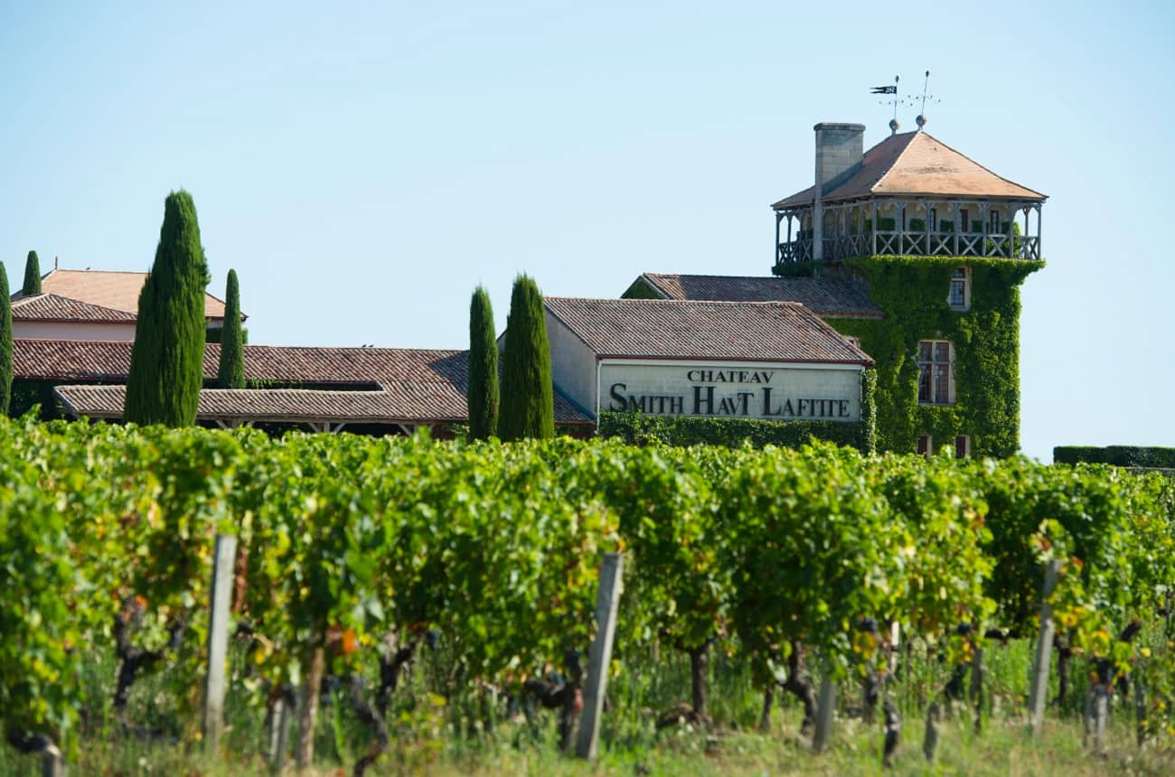 High hopes as Bordeaux 2019 white wine harvest starts - Decanter