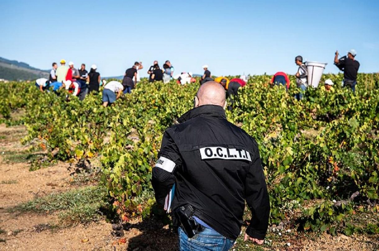 French police raid vineyard worker trafficking network - Decanter