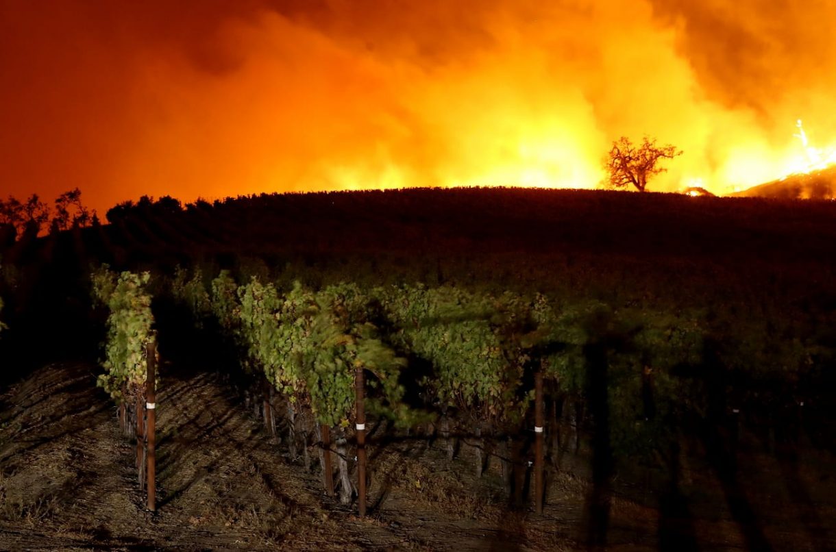 Updated: Sonoma County wildfires latest - Decanter