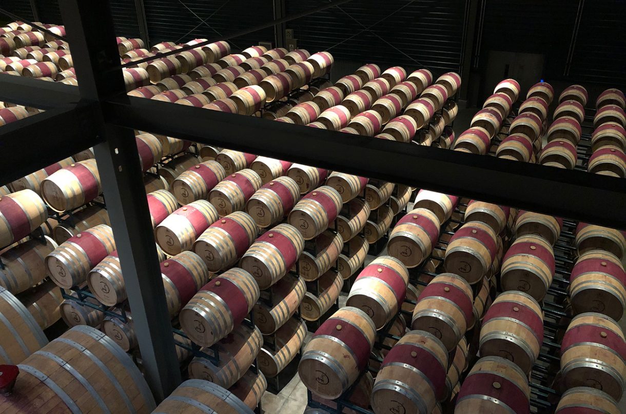 Ningxia wines: What’s on the horizon? - Decanter