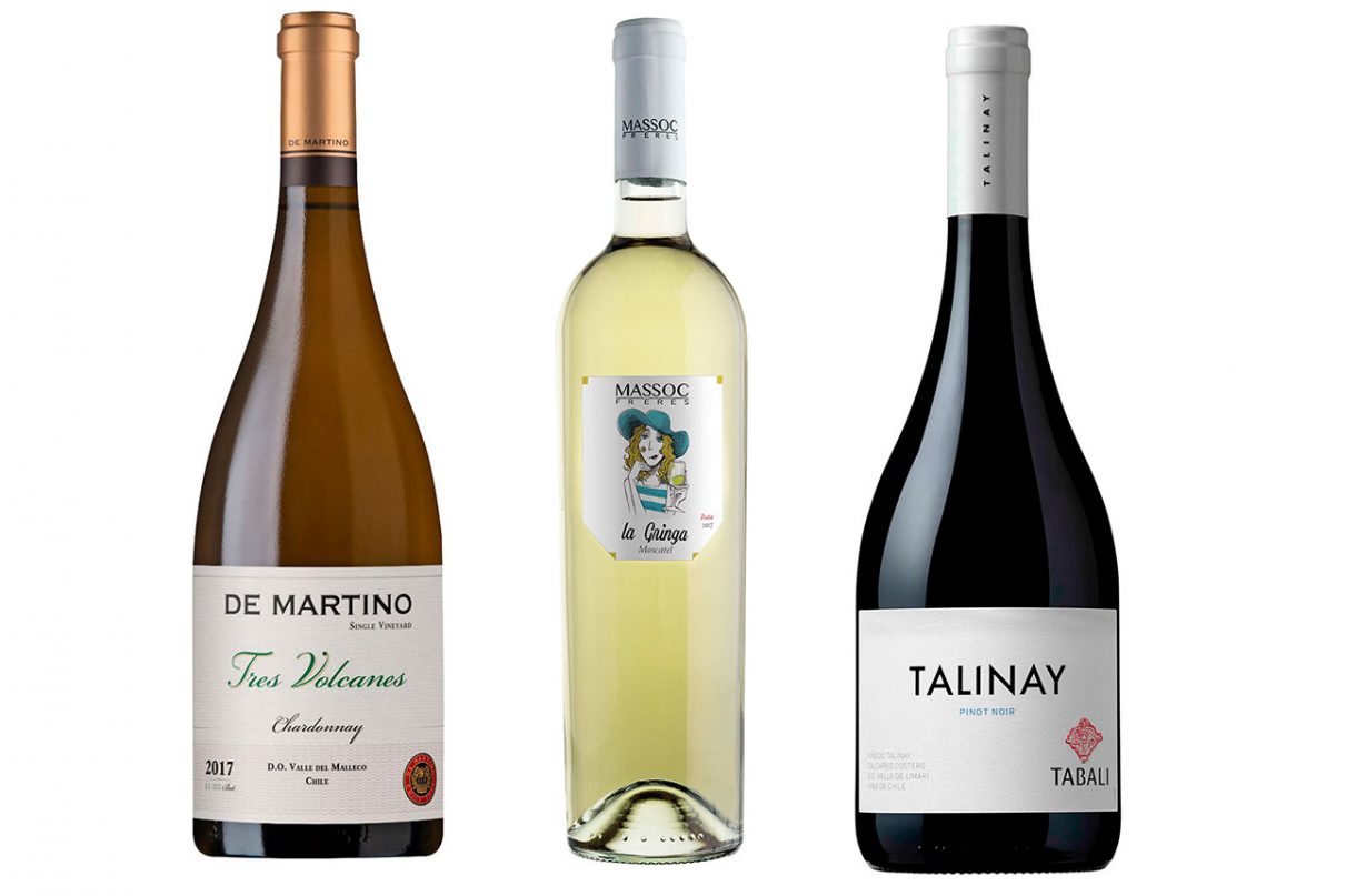 Chile: Extreme viticulture - Decanter