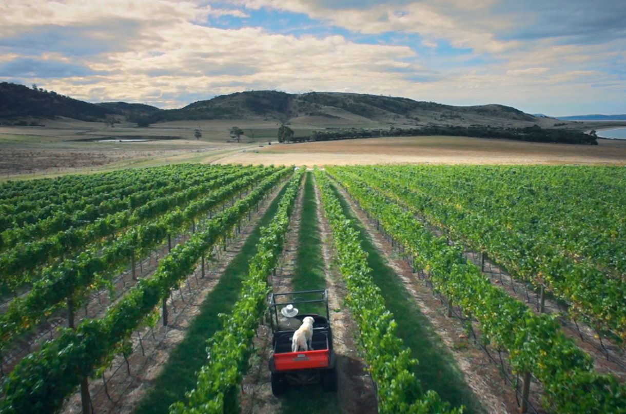 Fine Wine Partners: The DNA of premium Australian wine in four estates ...