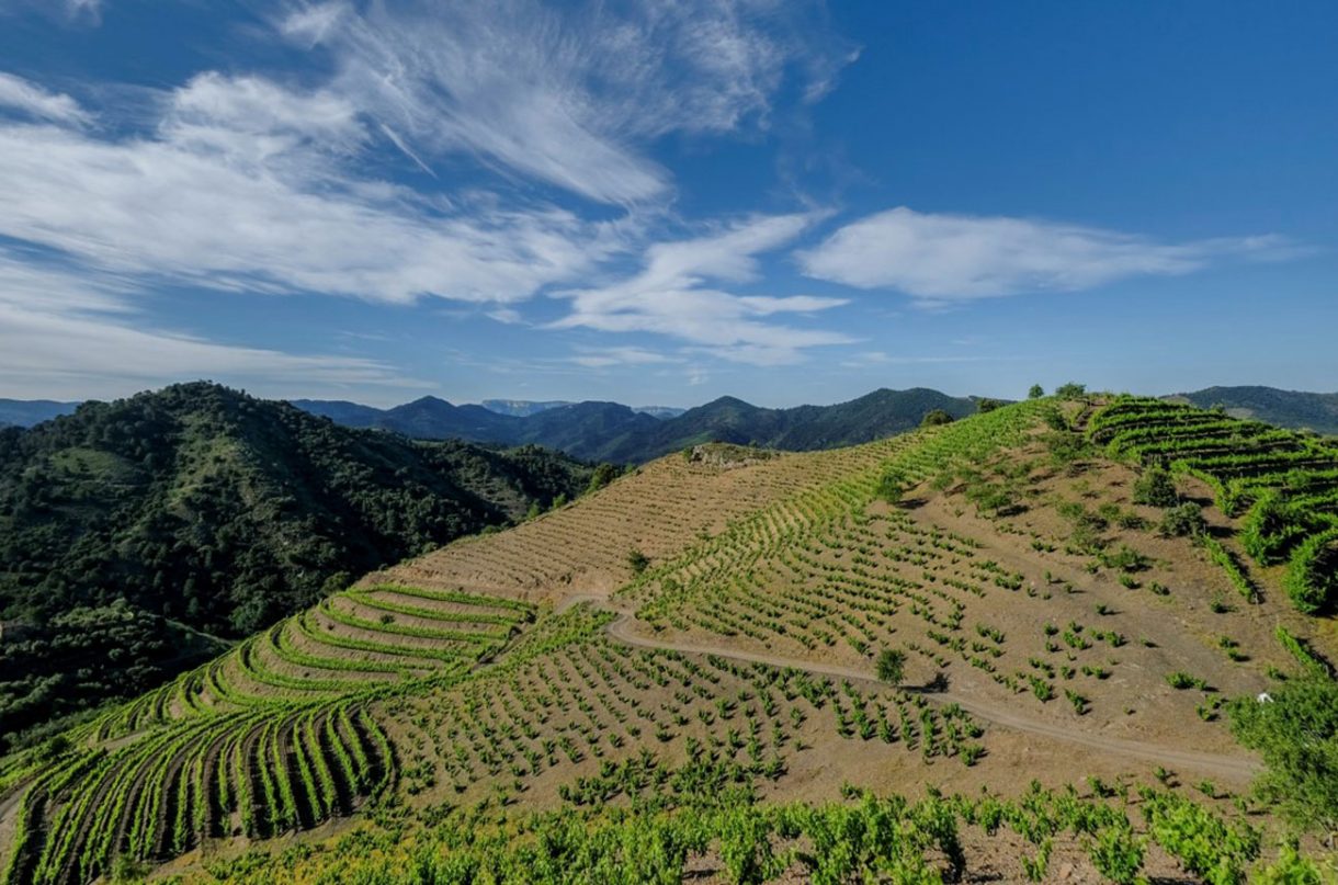Priorat wine region - Decanter