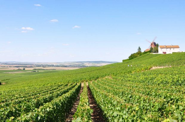 Champagne 2020 to make rare ‘trilogy’ of top vintages - Decanter