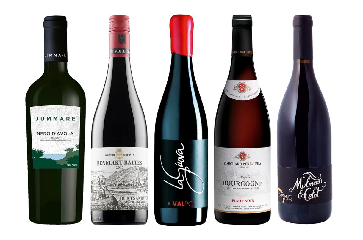 Light red wine for summer drinking under £20 - Decanter