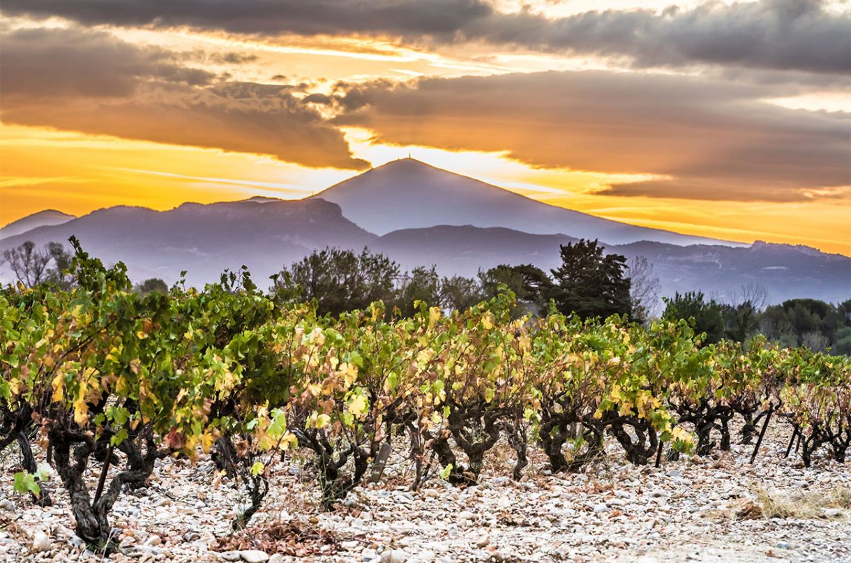 Why it's time to explore Vaucluse - Decanter