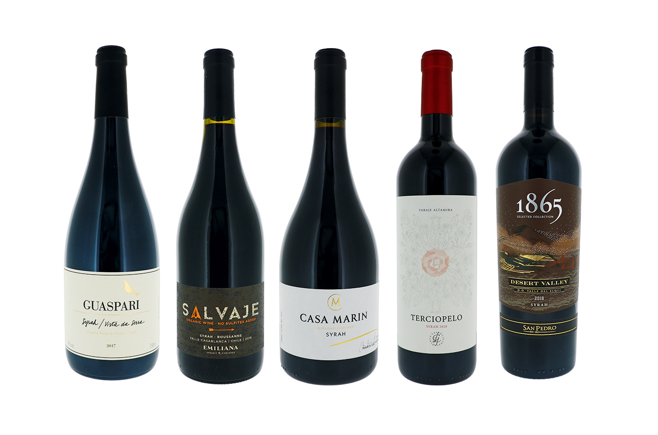 South American Syrah: Panel tastings results - Decanter