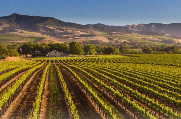 Santa Barbara County Pinot Noir: Top wines to try - Decanter