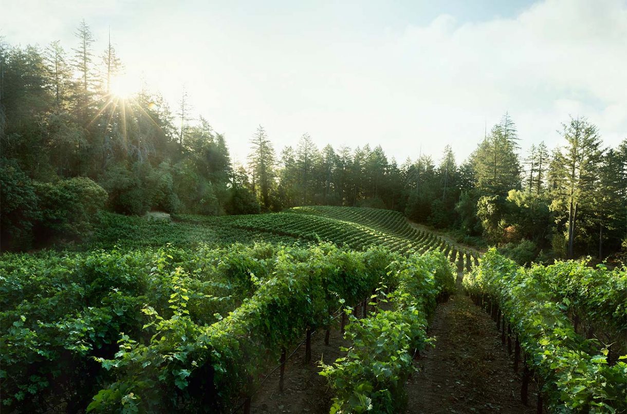 Five of Napa’s most stunning wineries - Decanter