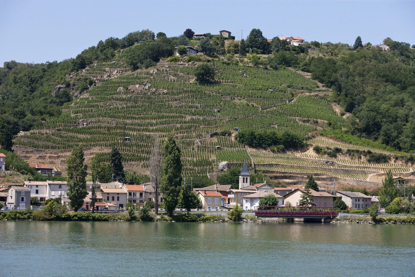 Condrieu and Château-Grillet 2019: Report and top scoring wines - Decanter