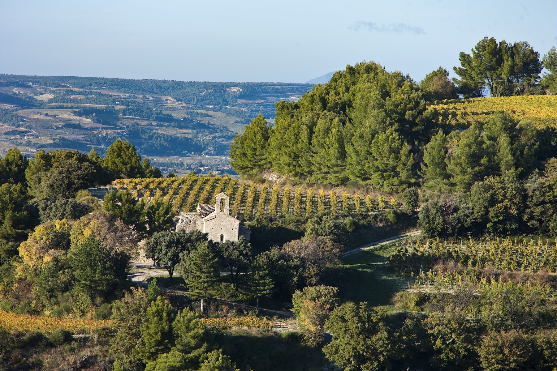 Southern Rhône 2019 report plus top scoring wines - Decanter