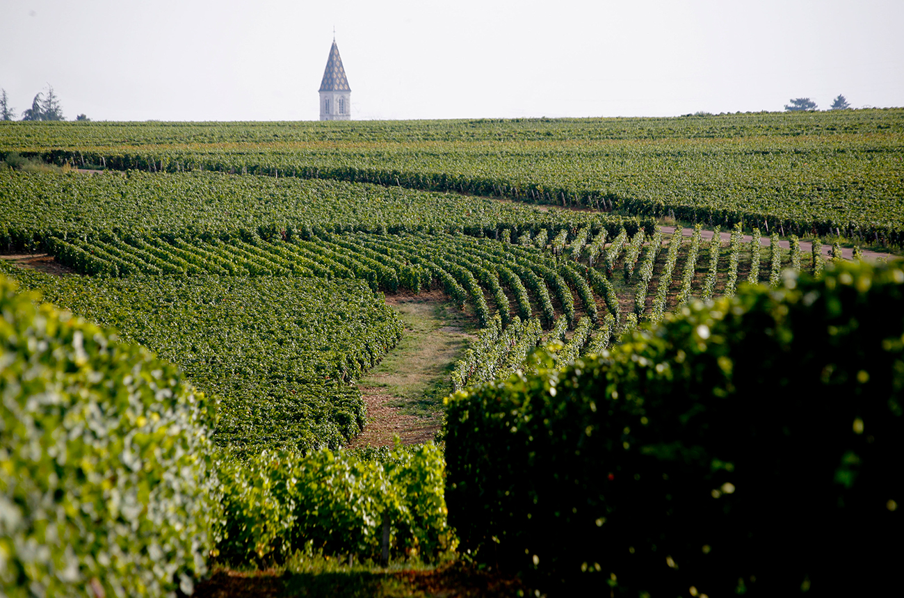 Top Vosne-Romanée and Nuits-St-Georges 2019 en primeur wines - Decanter