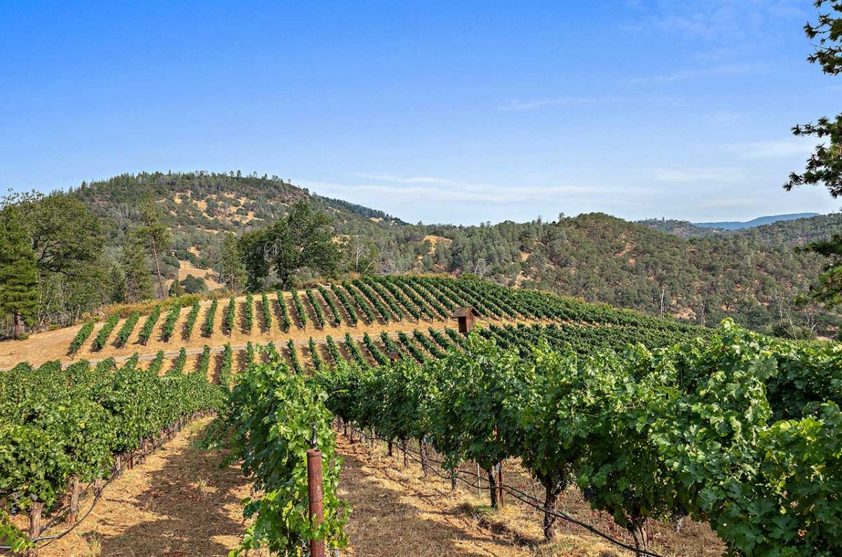 Property: Biodynamic wine ranch in California listed for $23m - Decanter