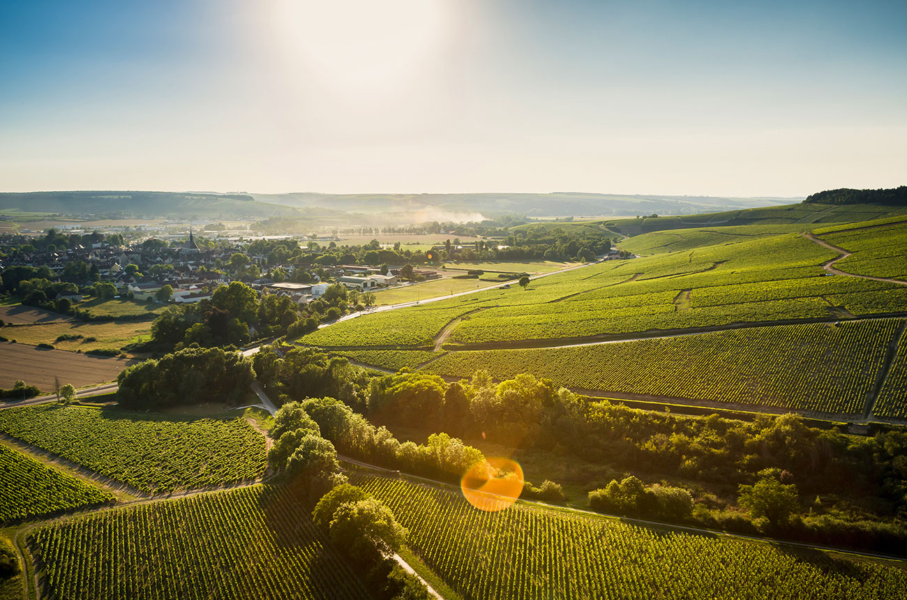 Discovering the value in Chablis - Decanter