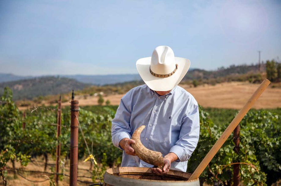Property: Biodynamic wine ranch in California listed for $23m - Decanter