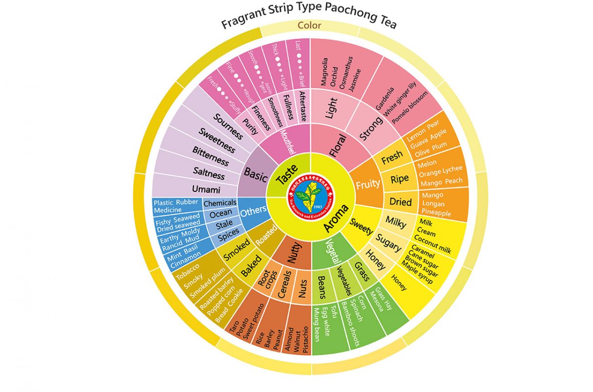 The pioneering Tea Flavour Wheels - Decanter