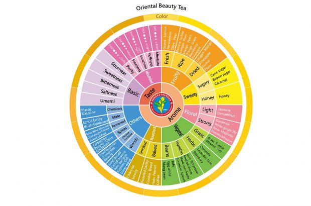The pioneering Tea Flavour Wheels - Decanter