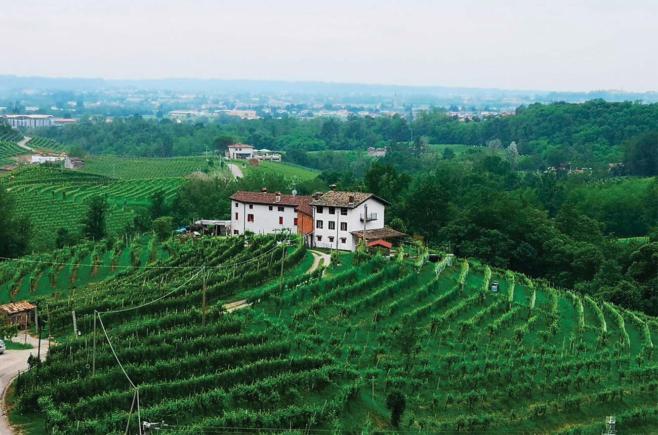What’s new in Prosecco? - Decanter