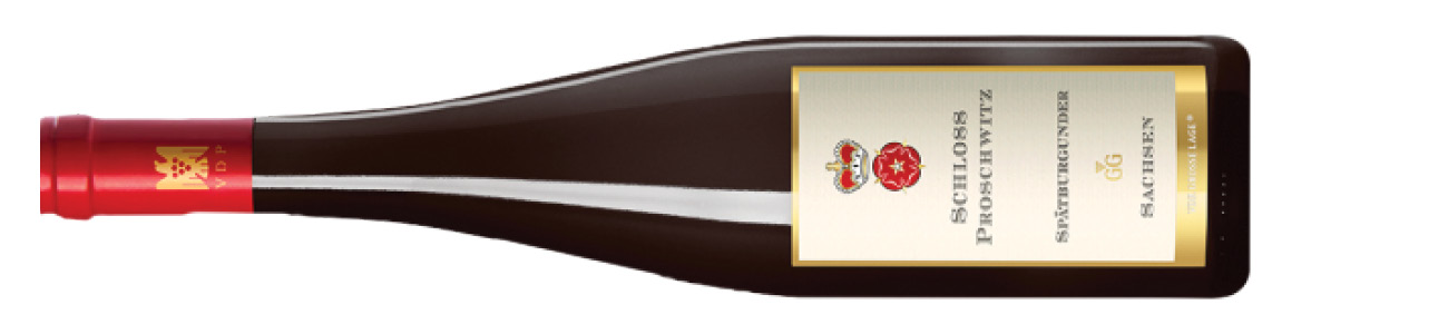 Germany: red wines to watch - Decanter