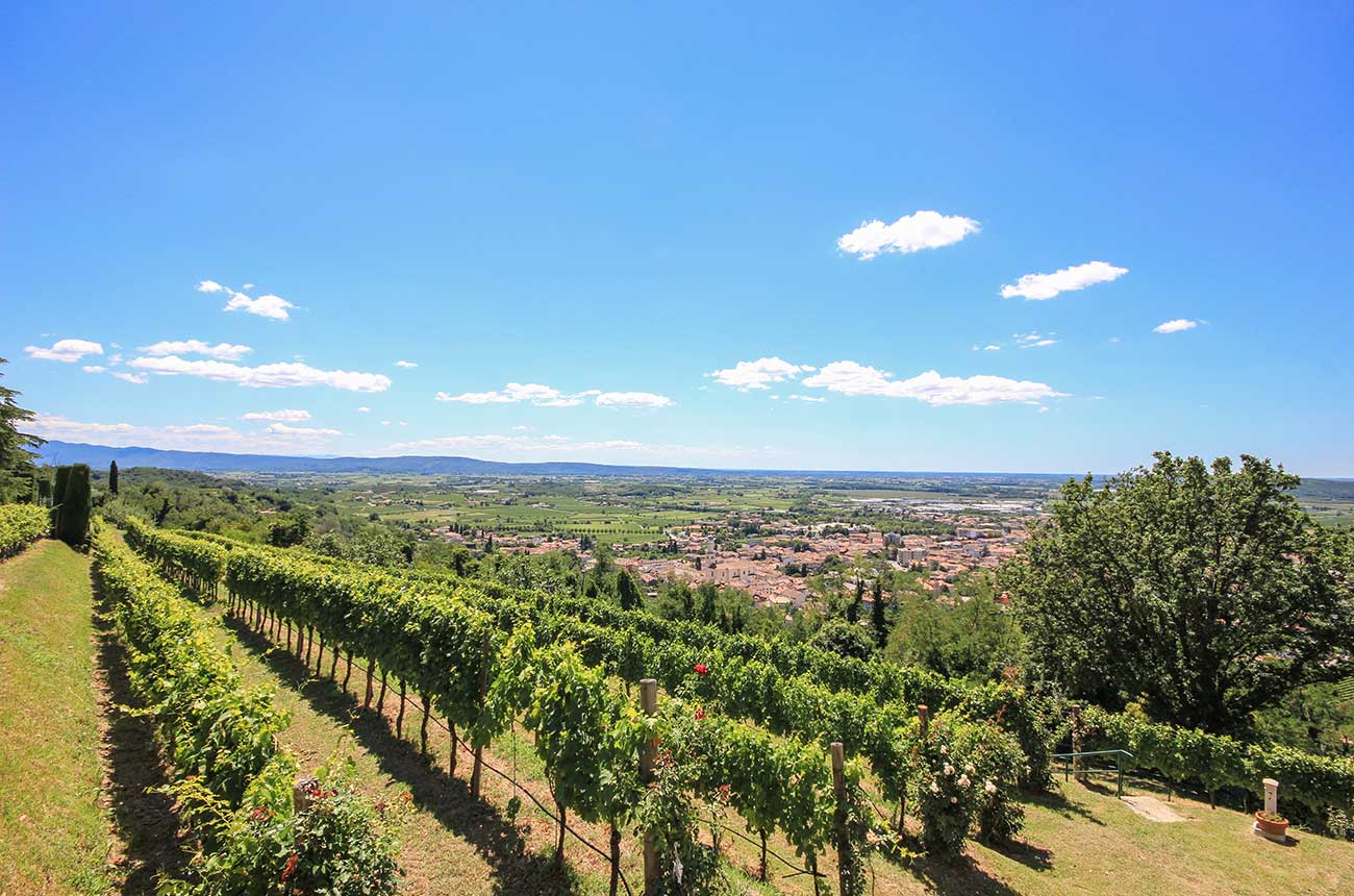 Property: Boutique Italian vineyard in the hills of Friuli - Decanter